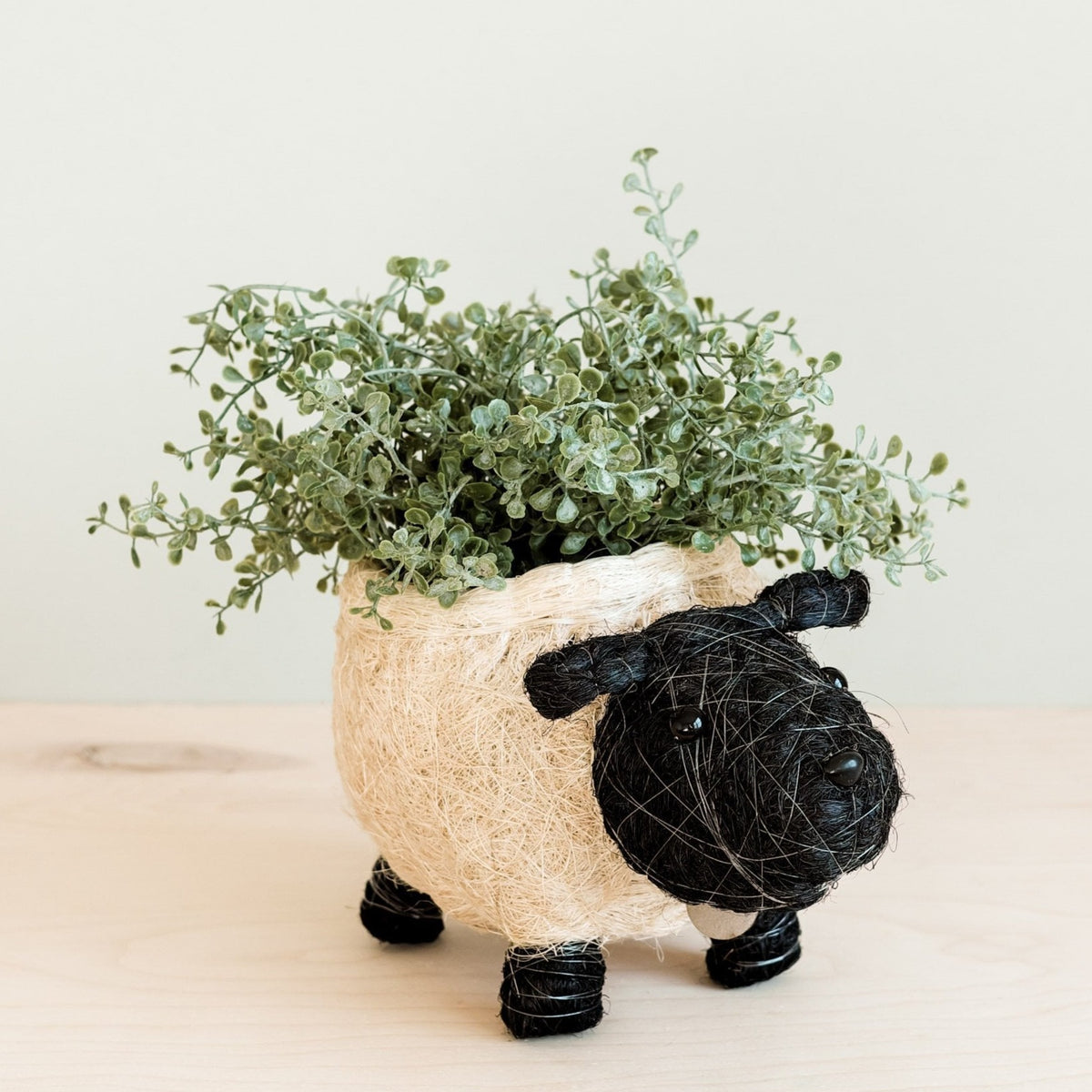 Sheep Planter Coco Coir Pots – an.mé /ahn-may/